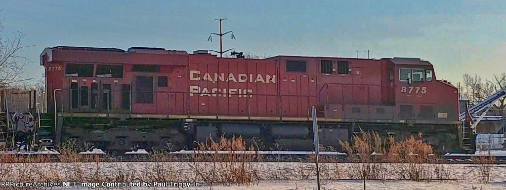 CP 8775